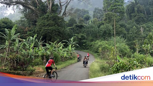 Menyusuri Jalur Syahdu di Puncak Dua, Bogor