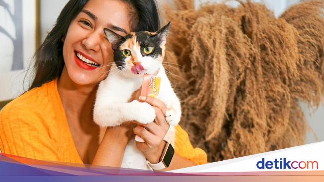 Hari Kucing Sedunia, Intip Foto 7 Artis Indonesia dan Kucingnya Bikin Gemas