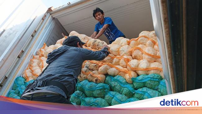 Kapal MV Mathu Bhum Ditahan, 156 Ton Kol Membusuk, Pengusaha Rugi