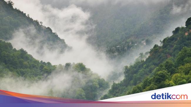 Dear Pendaki, Ini Tips Anti Nyasar Saat Turun Kabut di Gunung Ayamayam