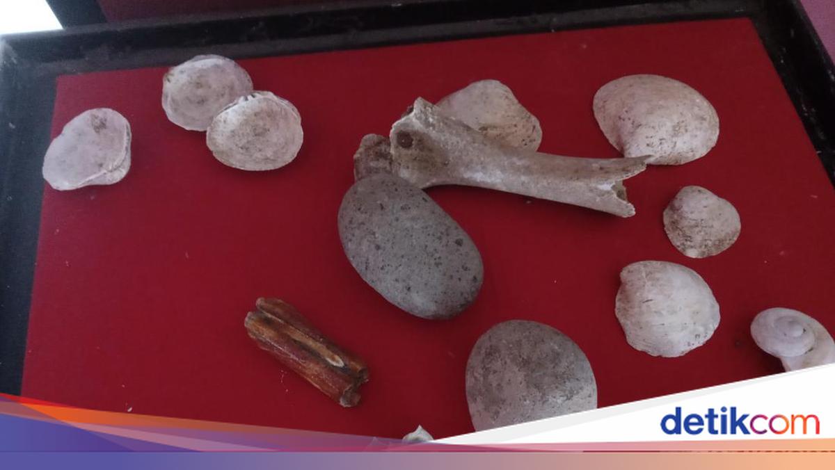 Pengertian Kjokkenmoddinger, Fosil dari Zaman Manusia Purba
