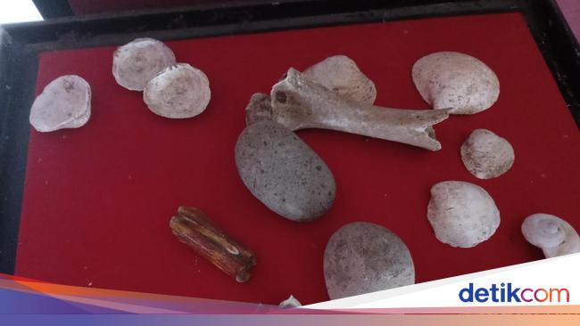 Pengertian Kjokkenmoddinger, Fosil dari Zaman Manusia Purba