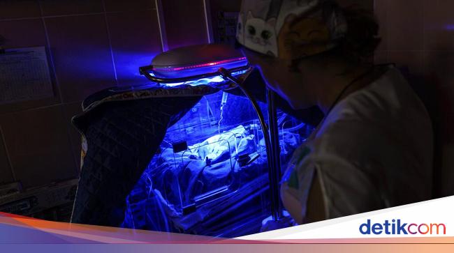 Terkini dari RS Bersalin di Ukraina, Makin Banyak Bayi Lahir Prematur Terkini dari RS Bersalin di Ukraina, Makin Banyak Bayi Lahir Prematur