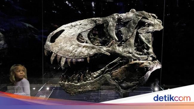 Peneliti Temukan Pola Makan Dinosaurus Theropoda, Ini yang Dilahap T-Rex dkk