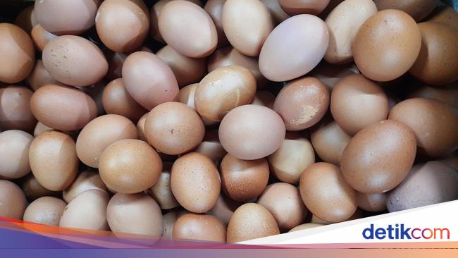 Pemerintah Siapkan Bantuan Daging dan Telur Ayam ke 1,4 Juta Keluarga