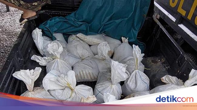 Penambang Ilegal Ditangkap di Babel, Polisi Sita 1 Ton Pasir Timah
