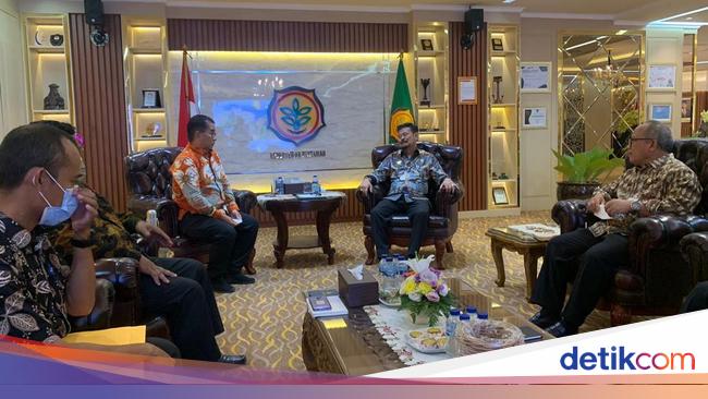 Pemprov Sulbar Diminta Siapkan 10 Ribu Hektare Lahan untuk Jagung-Kedelai Pemprov Sulbar Diminta Siapkan 10 Ribu Hektare Lahan untuk Jagung-Kedelai