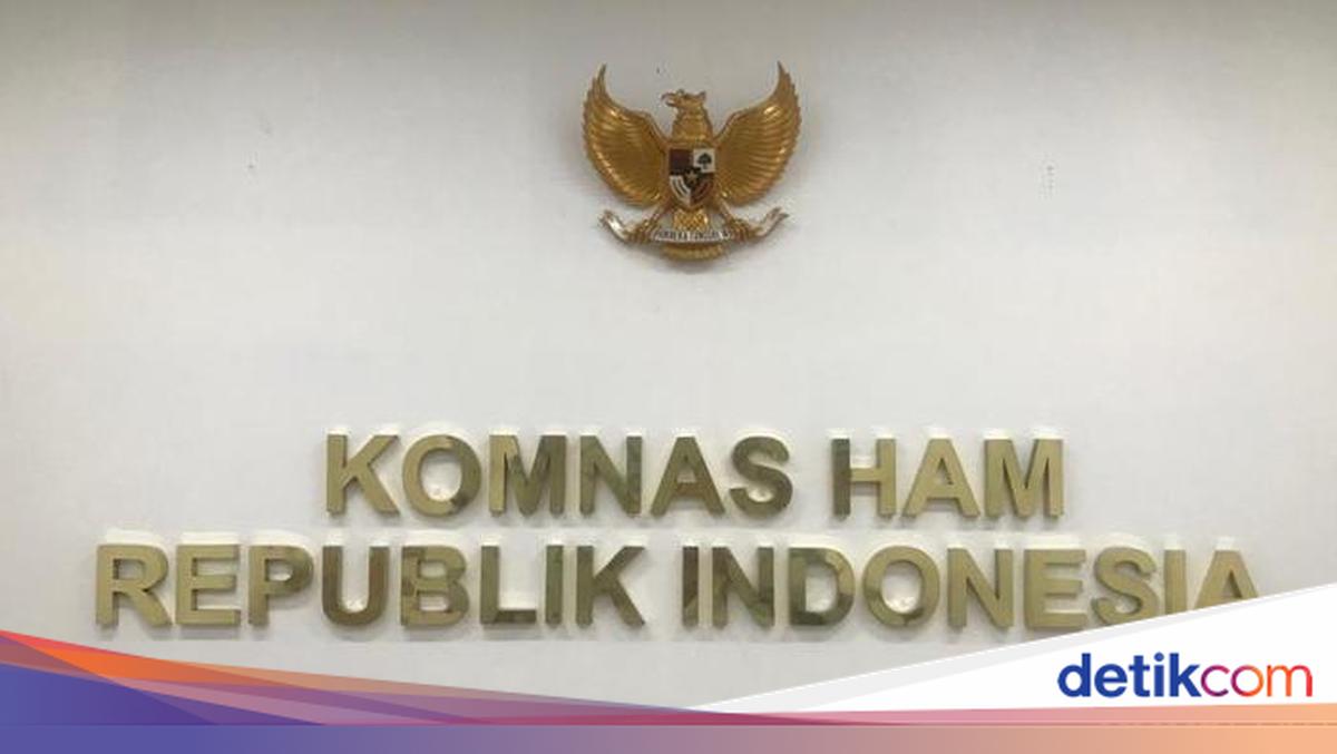 Apa Itu Komnas HAM? Ini Pengertian, Fungsi, Tugas dan Wewenangnya