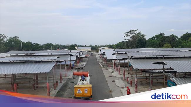 Pasar Hewan Jelok Boyolali Kembali Dibuka Besok, Simak Aturannya