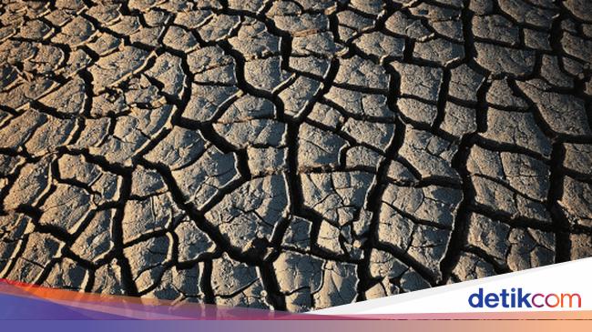 Deretan Tanah Retak di Berbagai Dunia Gegara Kekeringan Parah