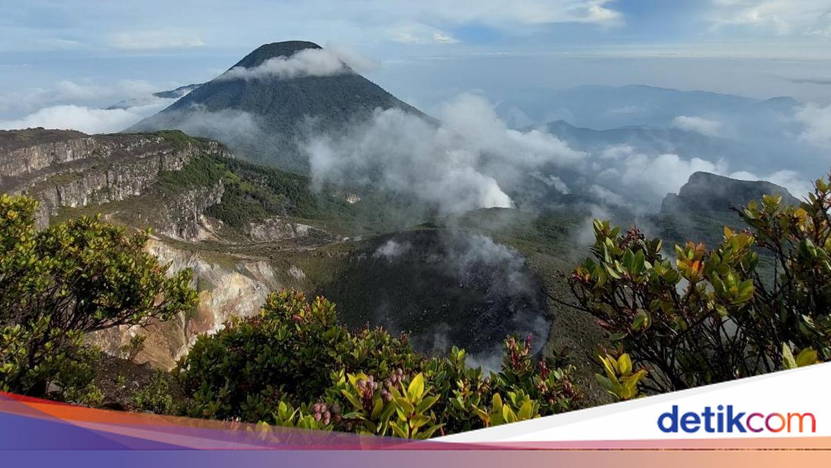 Dear Pendaki, Jangan BAB Sembarangan di Gunung!