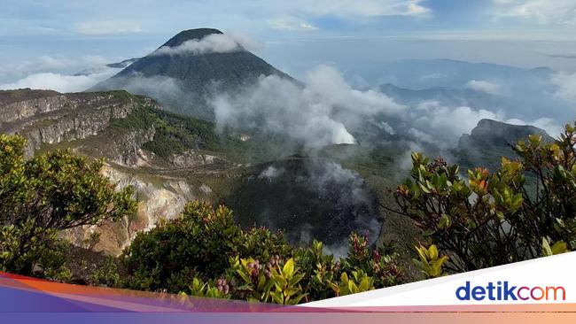 Dear Pendaki, Jangan BAB Sembarangan di Gunung!