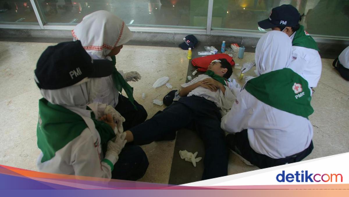 Apa Itu PMR dan Tugasnya? Peran, Fungsi dan Sejarah PMR