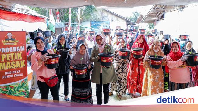 Relawan Mak Ganjar Bagikan 1.200 Pohon Cabai di 5 Wilayah DKI Jakarta