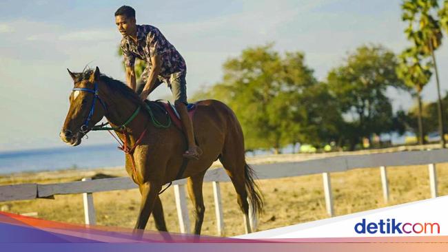 Nggak Cuma Orang, Kuda Juga Harus Dikompres Sehabis Latihan Berat