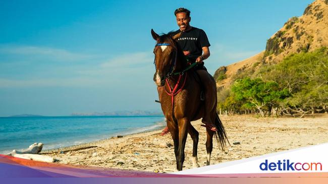 Kuda Pacu Ini Pernah Ditawar hingga Ratusan Juta, Apa Istimewanya?