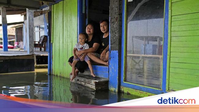 Menengok Warga Timbulsloko Jateng, Bertahan di Tengah Banjir Rob Menengok Warga Timbulsloko Jateng, Bertahan di Tengah Banjir Rob