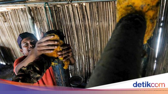 Begini Proses Pembuatan Sopi, Minuman Persahabatan Khas Warga NTT