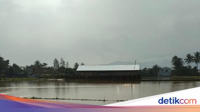 37,5 Hektare Sawah di Jabar Tergenang Banjir, Sebagian Gagal Panen