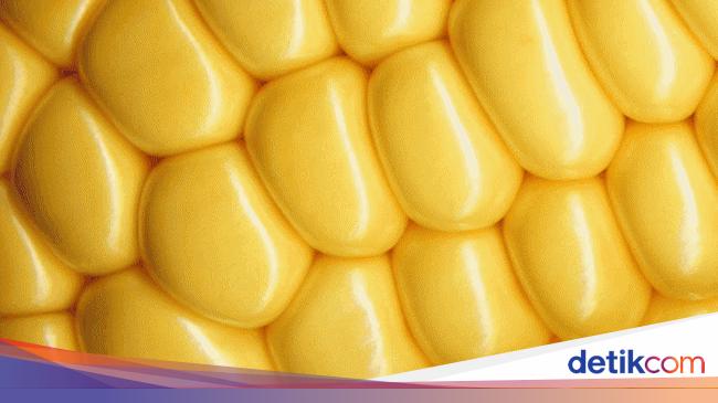 Foto Jepretan Lensa Makro, Hasilnya Memukau!