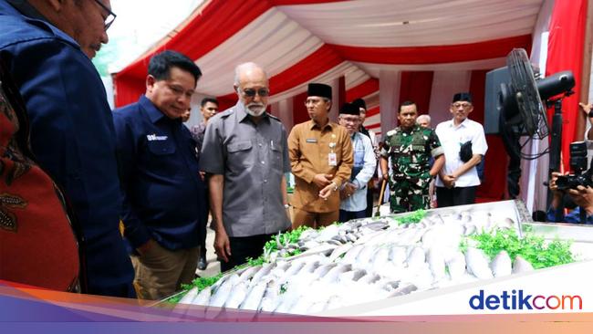 Desa Binaan BSI Ekspor 60 Ton Bandeng ke Korsel dan Jepang Desa Binaan BSI Ekspor 60 Ton Bandeng ke Korsel dan Jepang