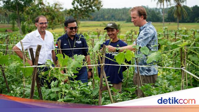 Aplikasi Ini Bantu Tingkatkan Produksi Petani
