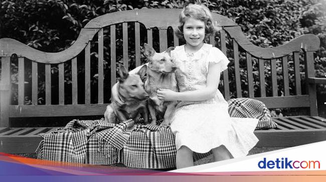 Kisah Ratu Elizabeth II dengan Puluhan Anjing Corginya