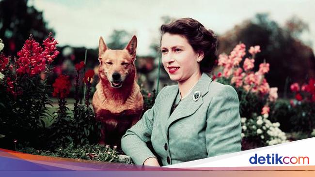 Berdedikasi Hingga Detik Terakhir, Potret Ratu Elizabeth dari Masa ke Masa