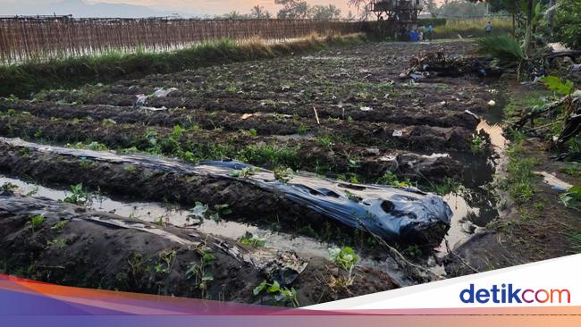 Terendam Banjir, Petani-Peternak Ikan di Tasik Terancam Gagal Panen