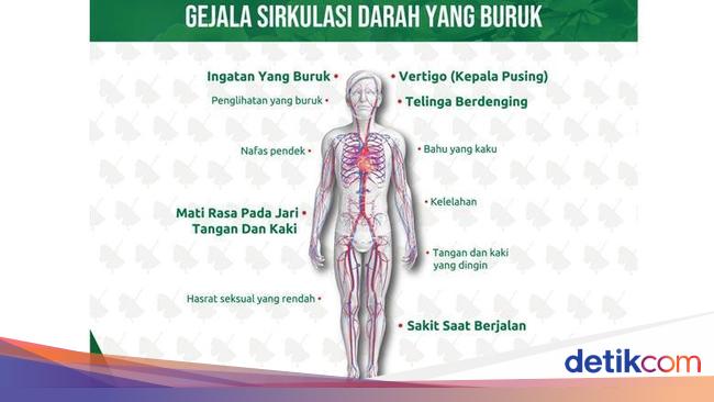 Atasi Gejala Vertigo, Mati Rasa & Ingatan Buruk dengan Ginkgo Biloba