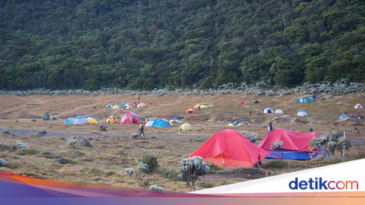 Panduan Booking Pendakian Gunung Gede