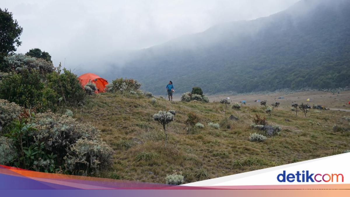 Nekat! 36 Pendaki Naik Gunung Gede Saat Jalur Pendakian Ditutup