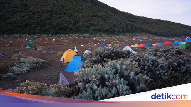 Indahnya Pagi di Alun-alun Surya Kencana Gunung Gede