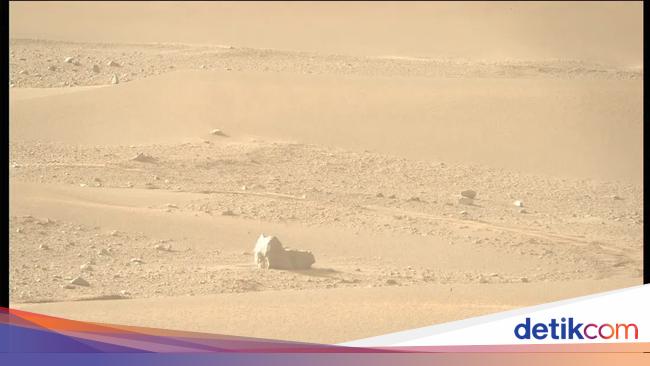 Ada 'Kucing' di Mars?