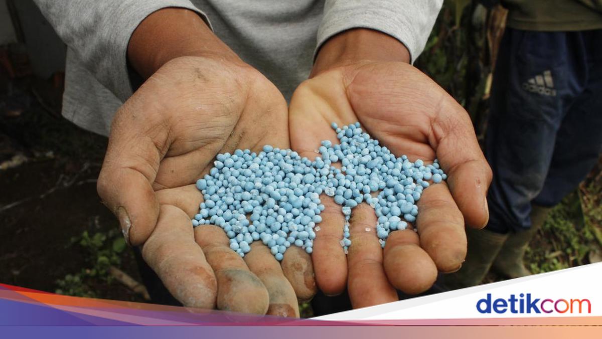 Mengenal Jenis-jenis Pupuk NPK dan Fungsinya Bagi Tanaman