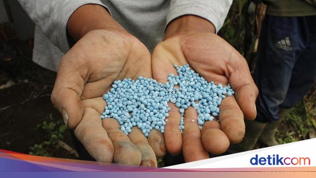 Mengenal Pupuk KCL dan Manfaatnya untuk Tanaman