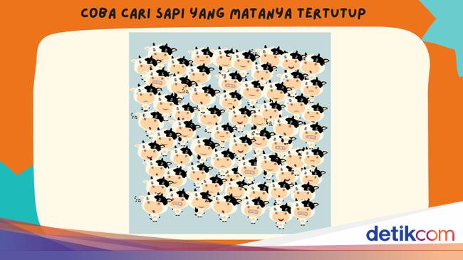 Bisa Temukan Perbedaan di Teka-teki Ini? Kalau Gagal Berarti Kurang Teliti Bisa Temukan Perbedaan di Teka-teki Ini? Kalau Gagal Berarti Kurang Teliti