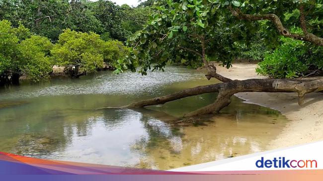 Alasan Kawasan Sancang di Garut yang Dianggap Menakutkan