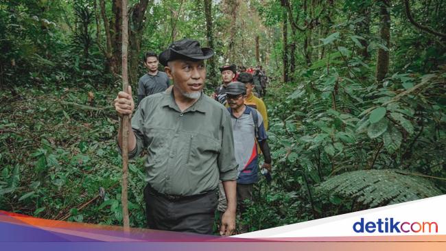 Cek Jalan Alternatif Malalak-Maninjau, Mahyeldi Tembus Hutan 11 Km