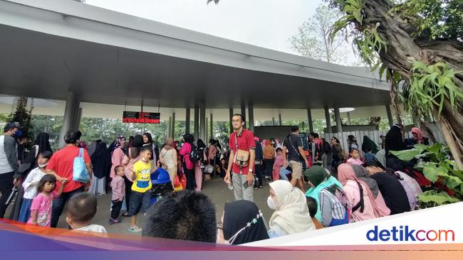 Puluhan Pengunjung Antre Tunggu Sesi Kedua Masuk Tebet Eco Park Puluhan Pengunjung Antre Tunggu Sesi Kedua Masuk Tebet Eco Park