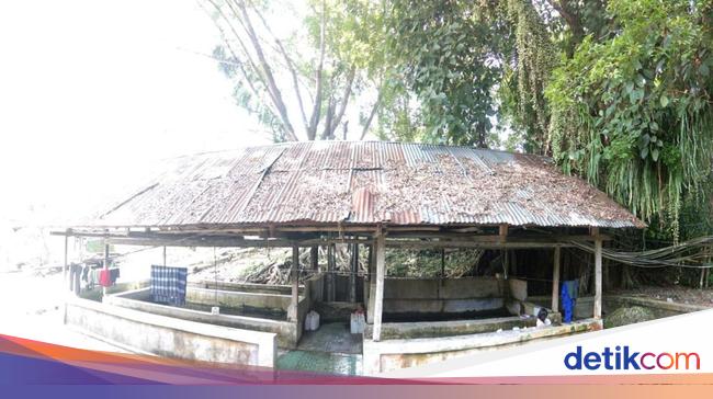 Cerita Sumur Ajaib di Polman yang Airnya Tak Pernah Kering