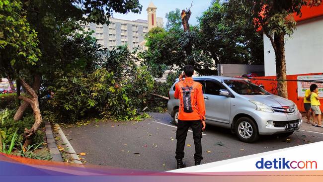 Foto-foto Pohon Tumbang Timpa Mobil di Jalan Marga Guna Jaksel
