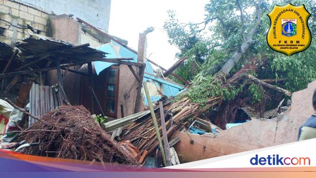 Pohon Tumbang Timpa Rumah di Jagakarsa Jaksel