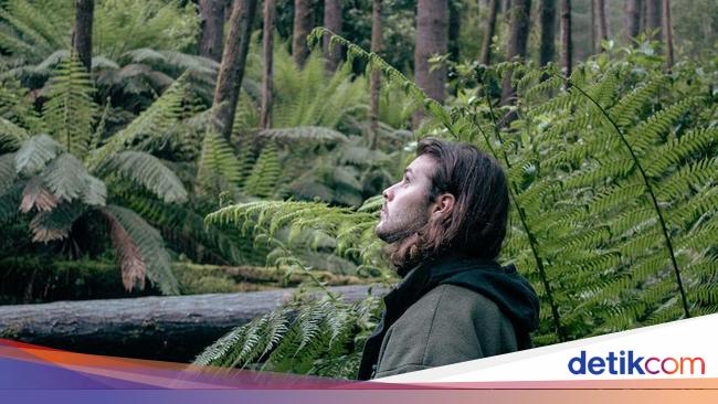 Ratusan Perusahaan di 4 Negara Termasuk Australia Terlibat Uji Coba ... Ratusan Perusahaan di 4 Negara Termasuk Australia Terlibat Uji Coba ...