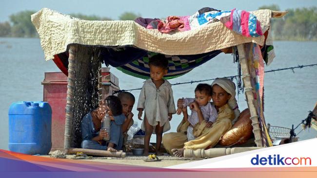 Kasihan, Warga Pakistan Bertahan Hidup di Tengah Banjir Ekstrem Kasihan, Warga Pakistan Bertahan Hidup di Tengah Banjir Ekstrem