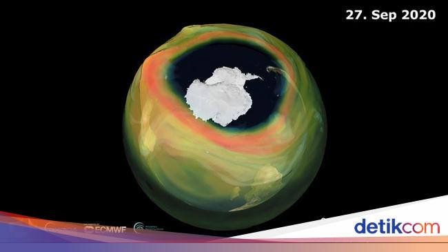 Ilmuwan Ungkap Hal yang Akan Terjadi Jika Ozon di Bumi Lenyap