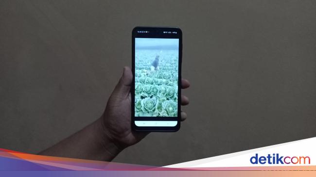 Harga Sayuran Merosot, Petani di Bandung Ngamuk!