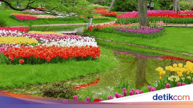 Warna-warni Taman Bunga di Jepang yang Bikin Takjub