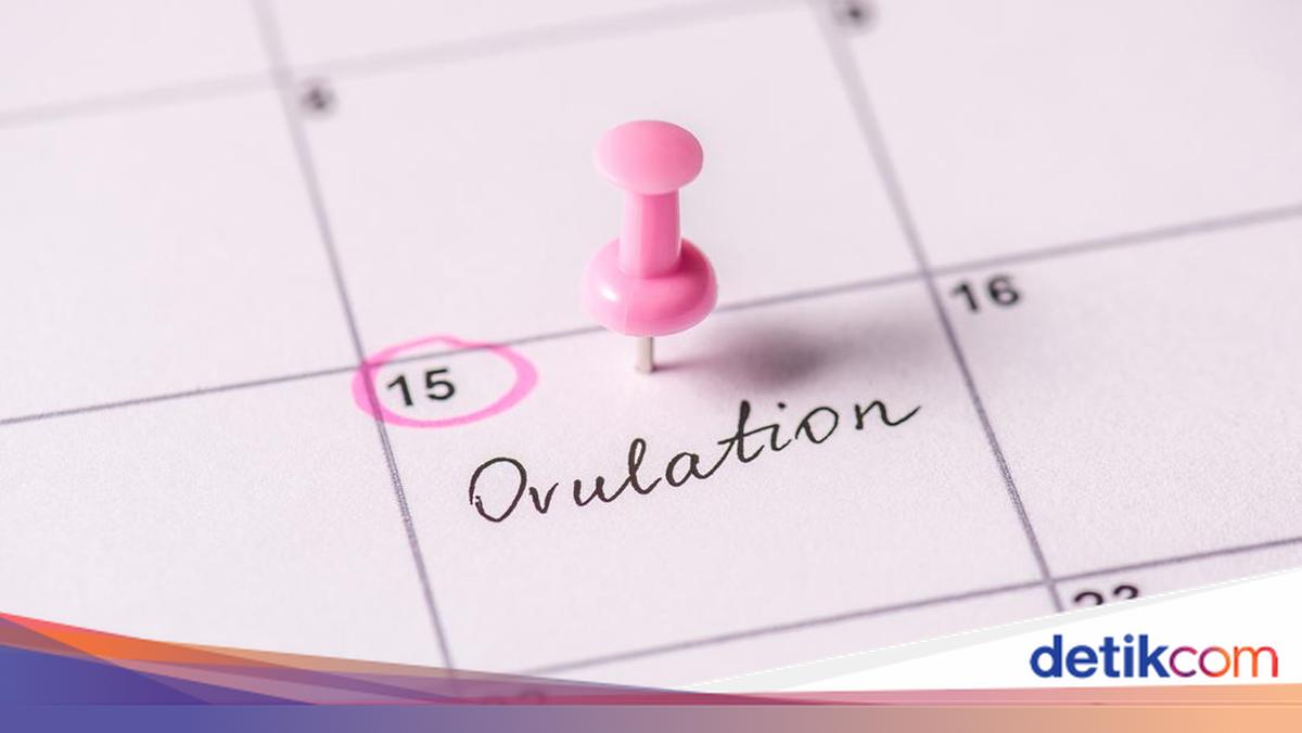 Ovulasi Adalah: Ciri-ciri, Proses, dan Cara Menghitung Waktunya