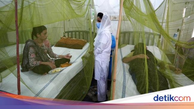 Setelah Dilanda Banjir, Warga Pakistan Kini Diserang Penyakit DBD Setelah Dilanda Banjir, Warga Pakistan Kini Diserang Penyakit DBD